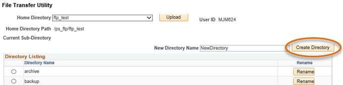 Use the Peoplesoft File Transfer Protocol (FTP) Utility | IT@Cornell